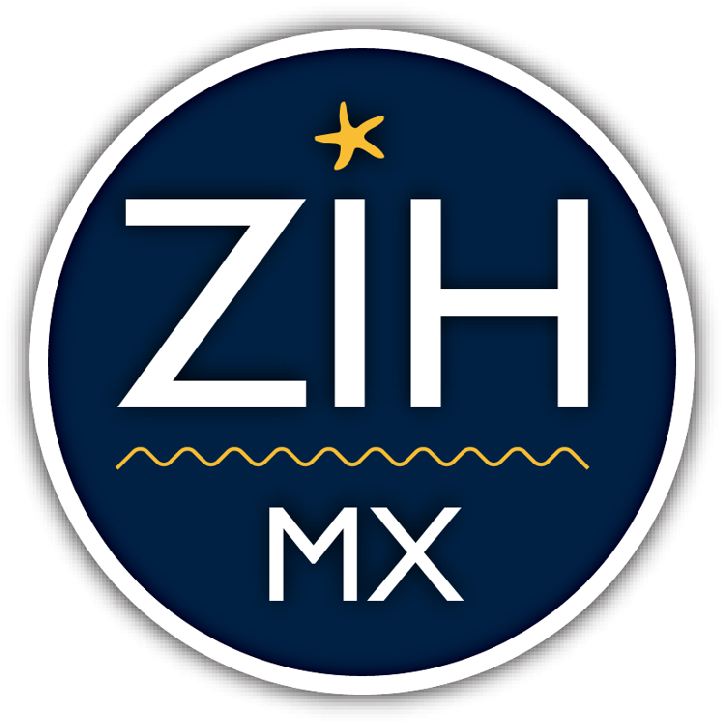 about | zih.mx